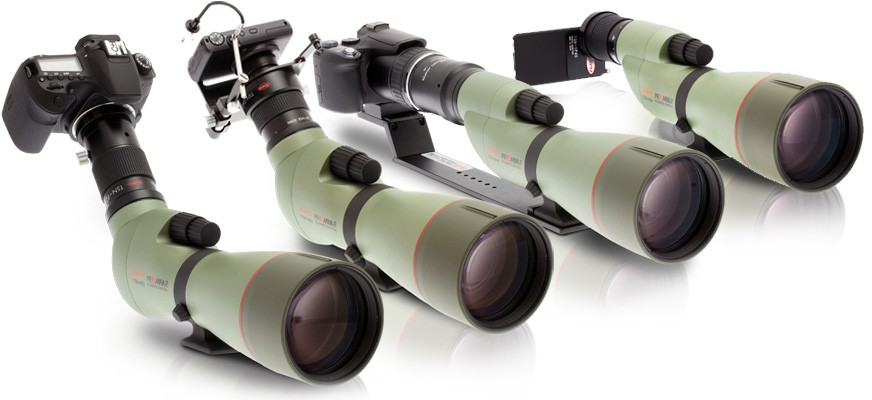 DIGISCOPING | JOAN SAFONT PHOTOGRAPHY